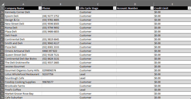 Export data to Excel - General Help - Tall Emu CRM Australia